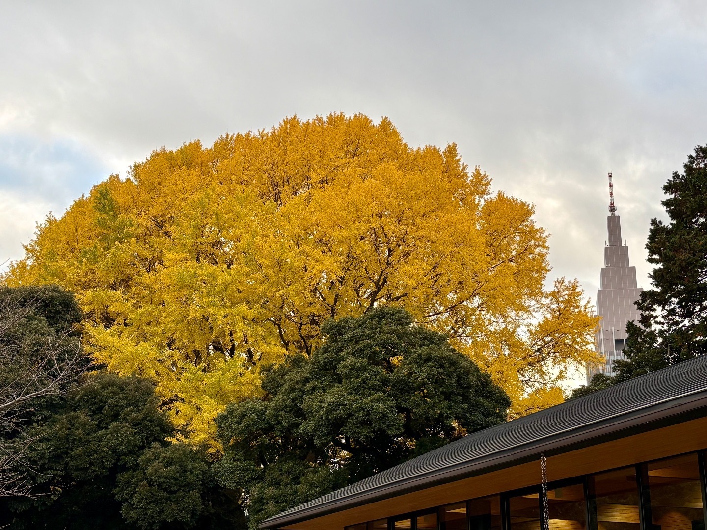 愛でる日。: Cisのひとりごと。