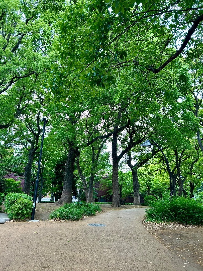 吸収: Cisのひとりごと。